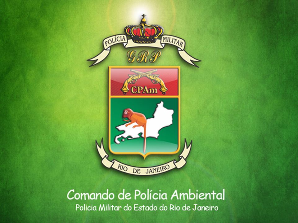 Polícia Ambiental apreende balão em Vicente de Carvalho – PMERJ