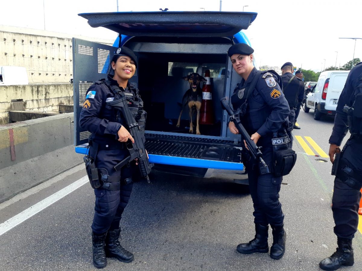 SALVAR DOIS CÃEZINHOS, MISSÃO EXTRA PARA POLICIAIS DO RECOM EM ...